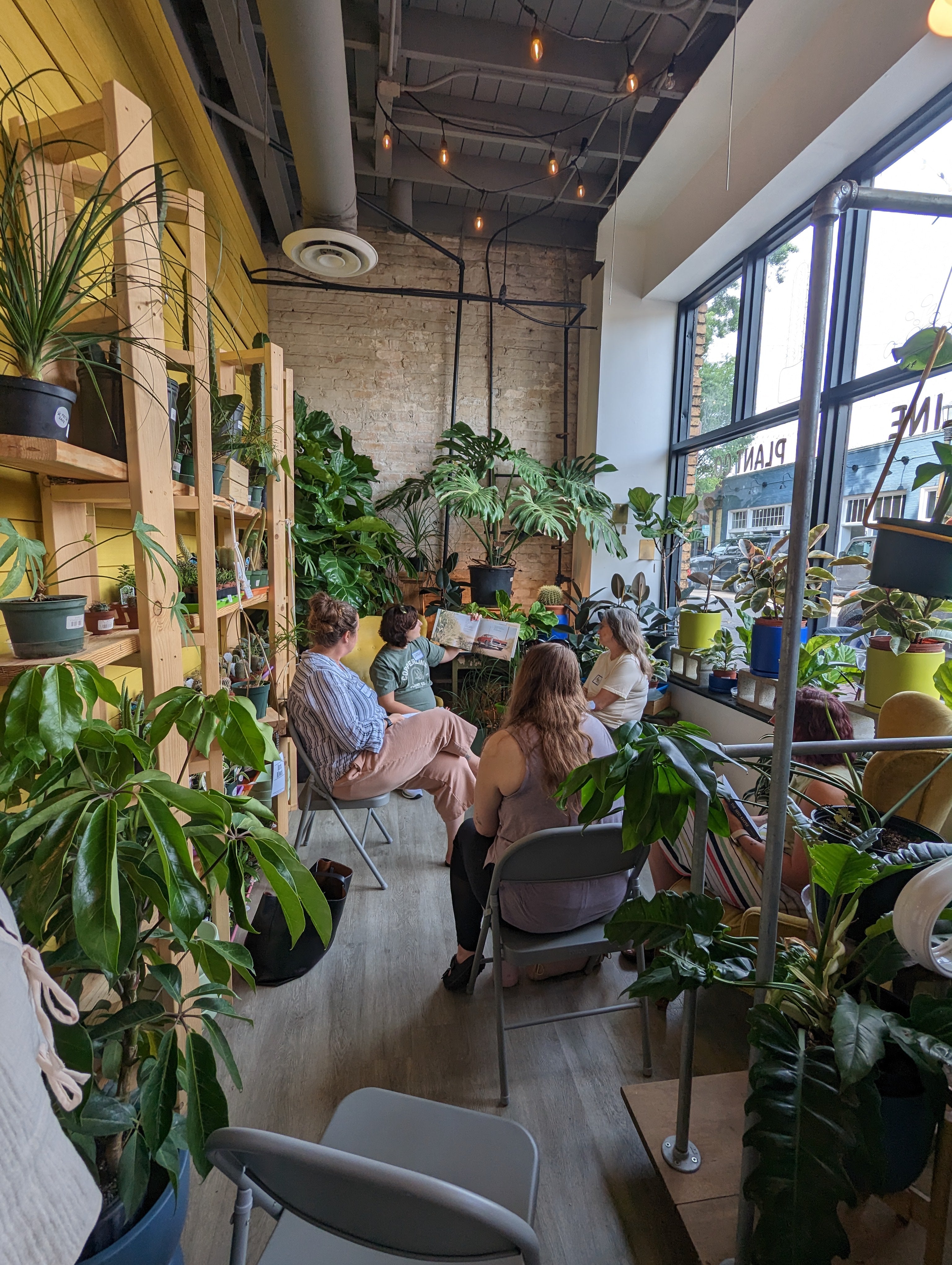 The Seed Keeper – Copperline Plant Co.