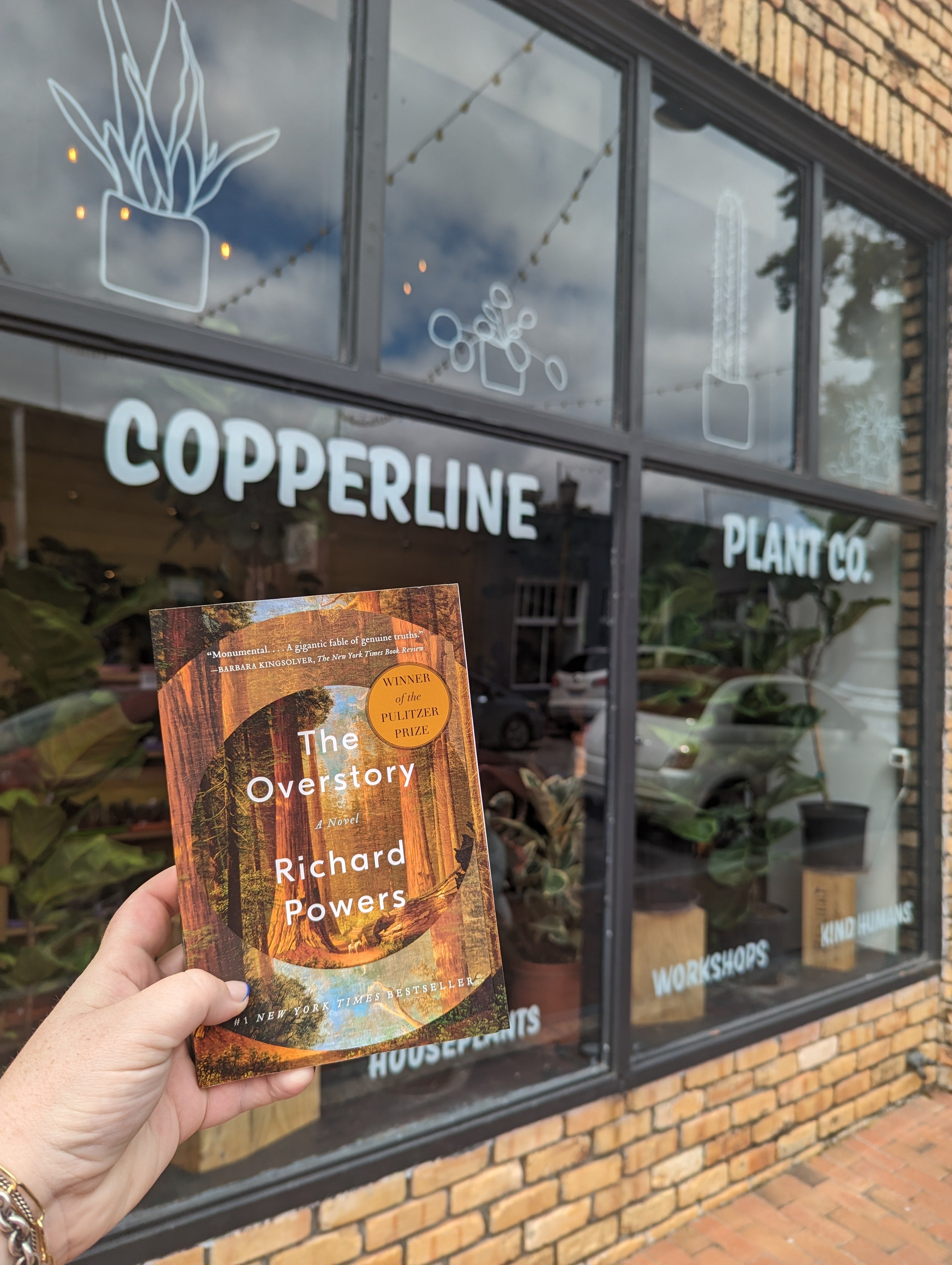 Next Up - "The Overstory" – Copperline Plant Co.