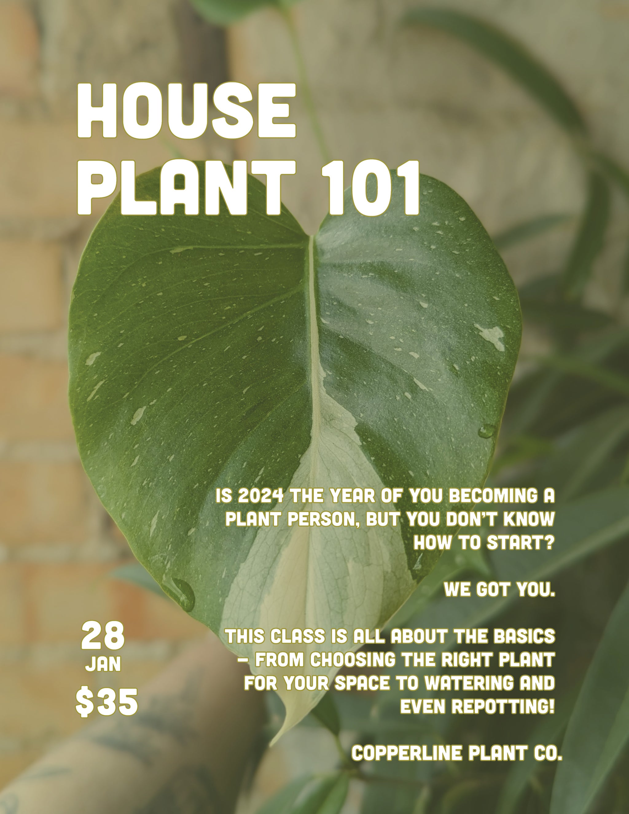 CLASSES + EVENTS – Copperline Plant Co.