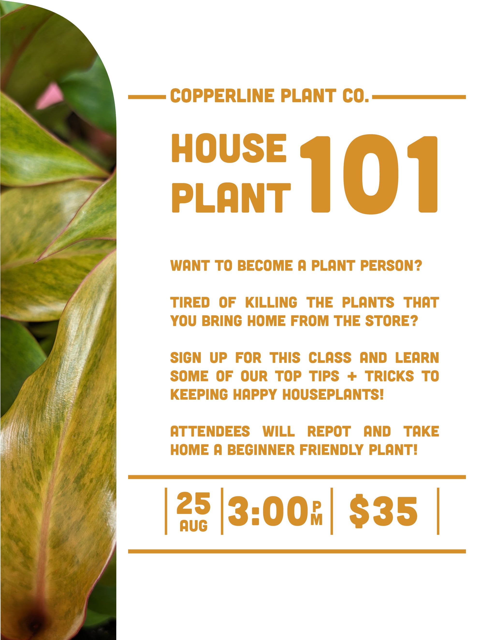 Copperline Plant Co.