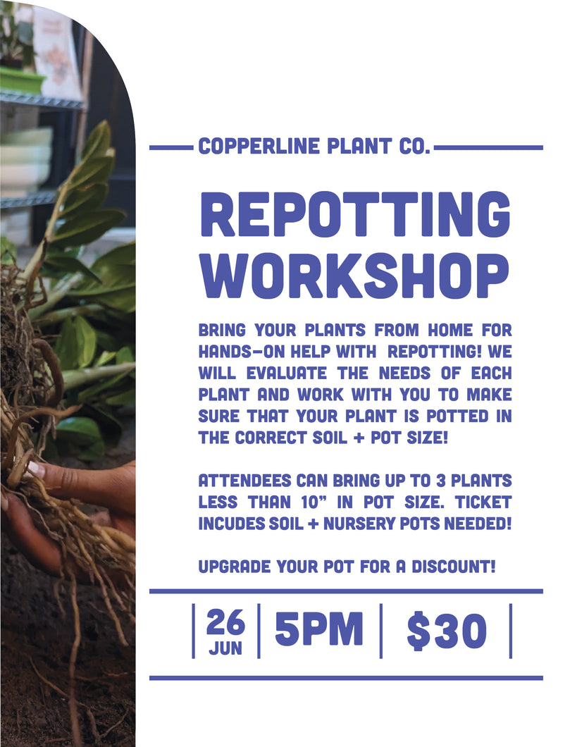 Copperline Plant Co.