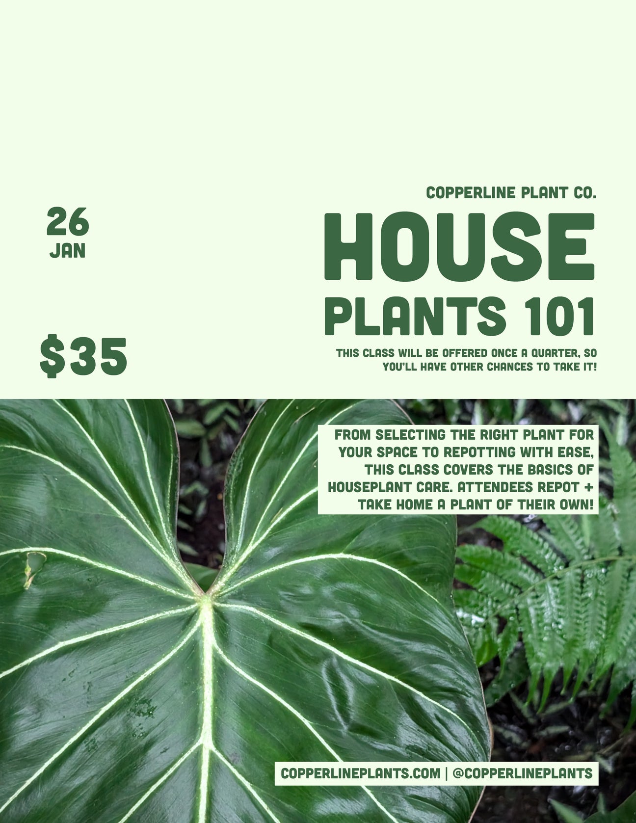 Copperline Plant Co.