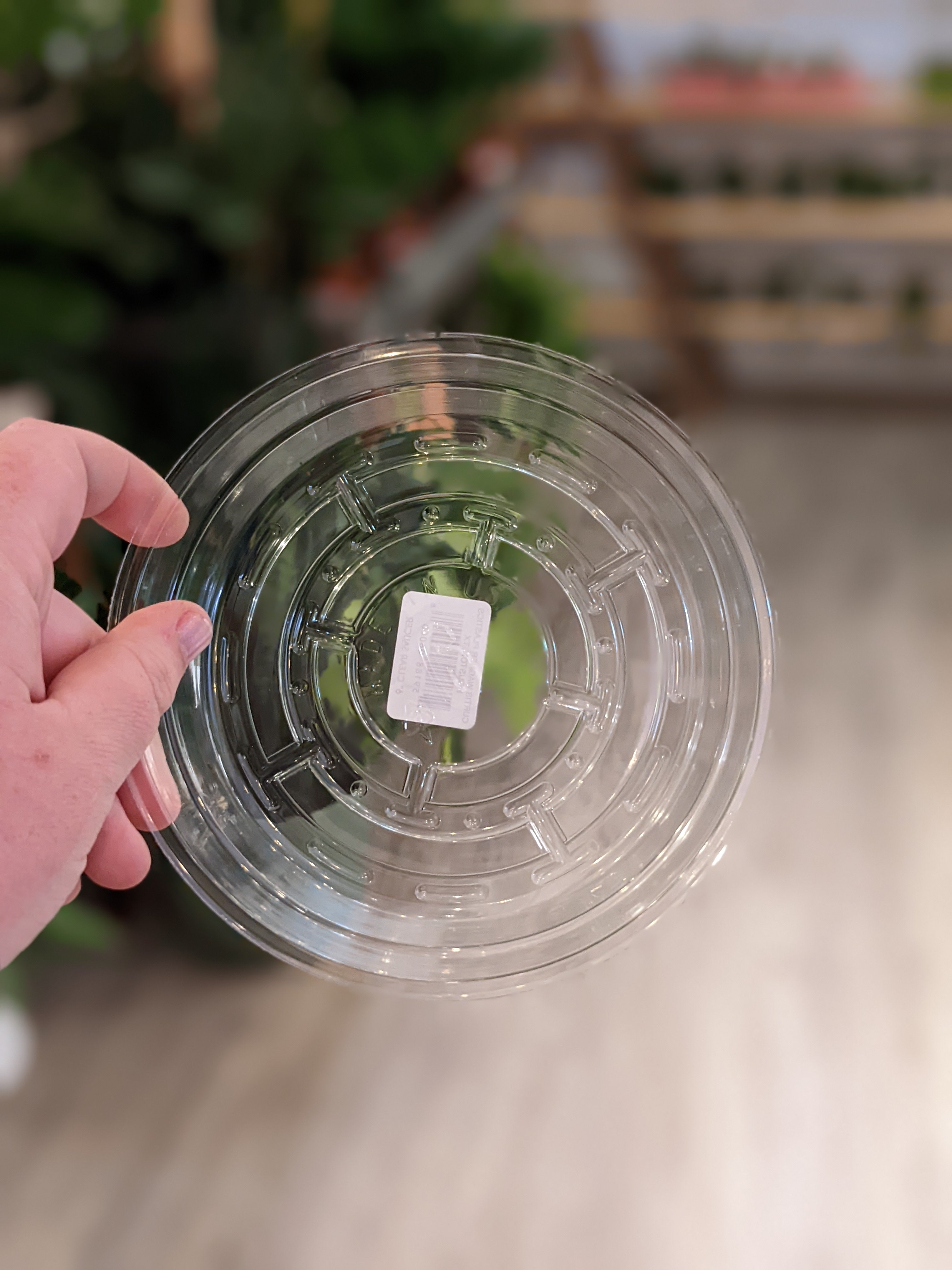 6" Clear Saucer – Copperline Plant Co.