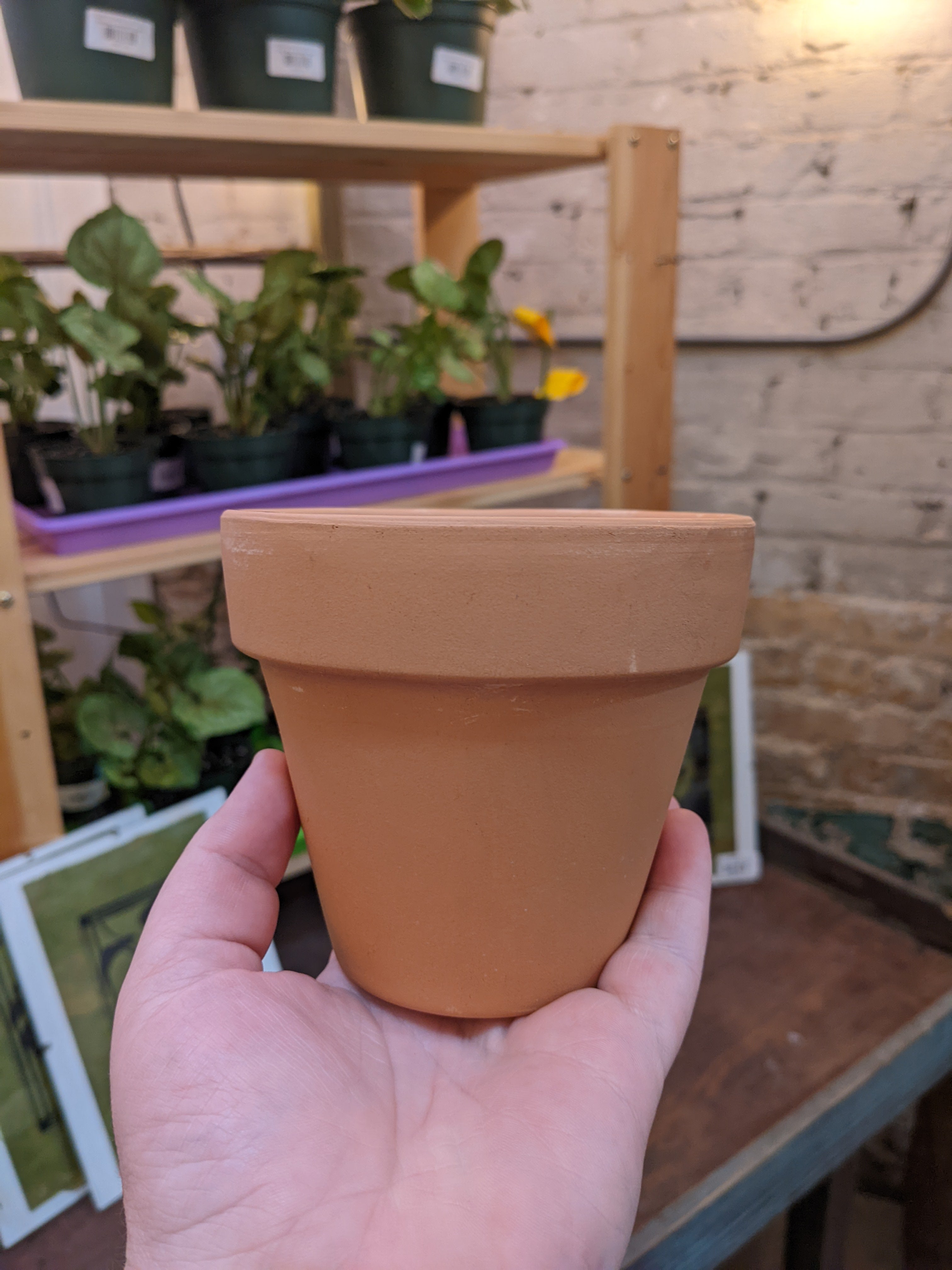 4" Terracotta Pot – Copperline Plant Co.